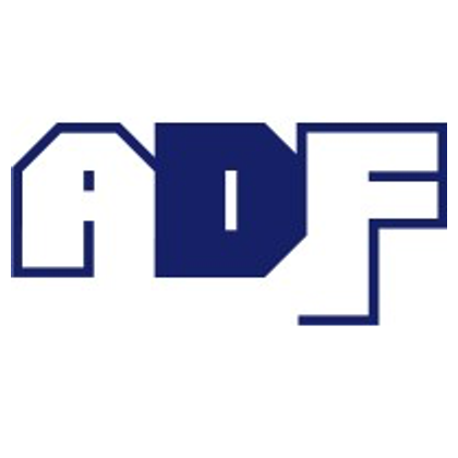 APPOINTMENT OF MR. LUC RENY TO THE BOARD OF DIRECTORS OF ADF GROUP INC ...